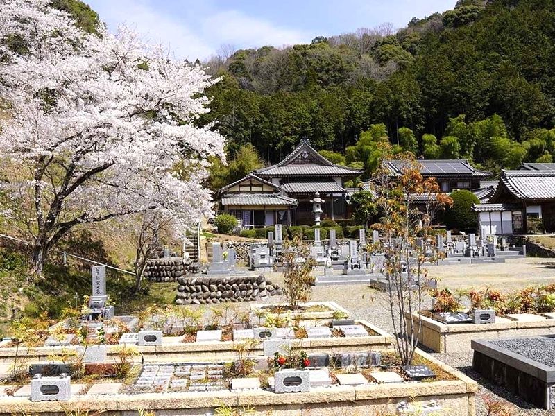 山県市の永代供養ランキング／周辺の費用相場や口コミも掲載 | お墓探しならライフドット
